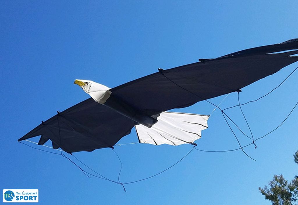 Cerf-Volant Pilotable Revolution Eagle - Revolution